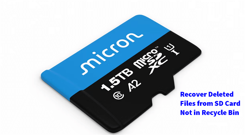 Recover Deleted Files from SD Card Not in Recycle Bin [Without or With ...
